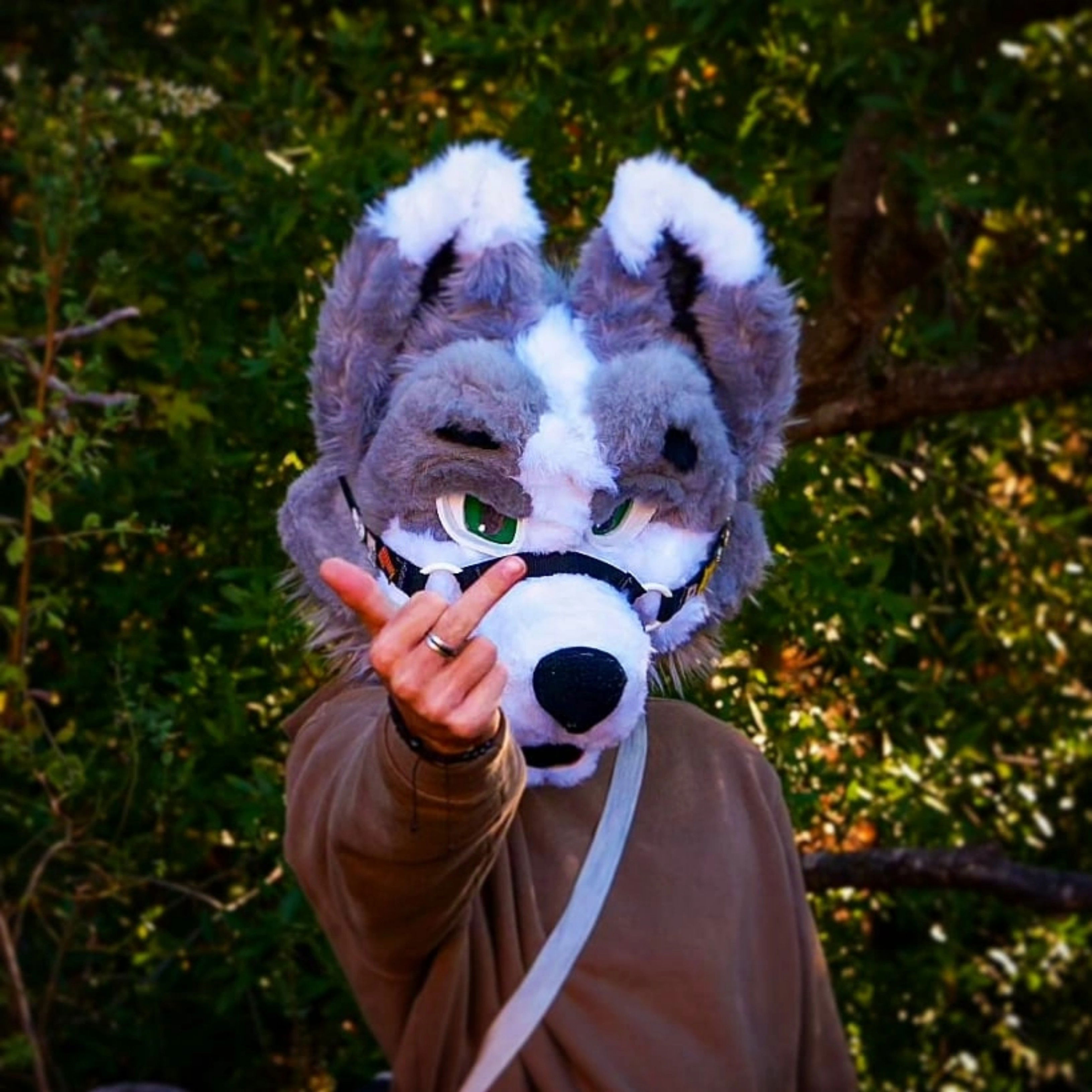 BARQ! - For furries, by furries